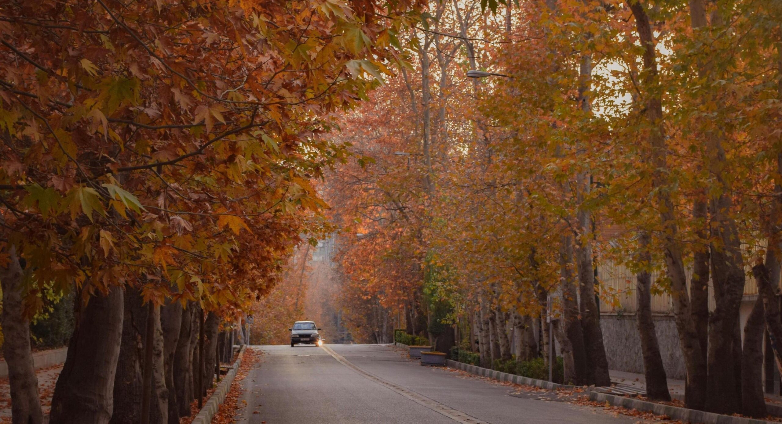 Autumn Adventures: Moving House during the Fall Season - The Move ...